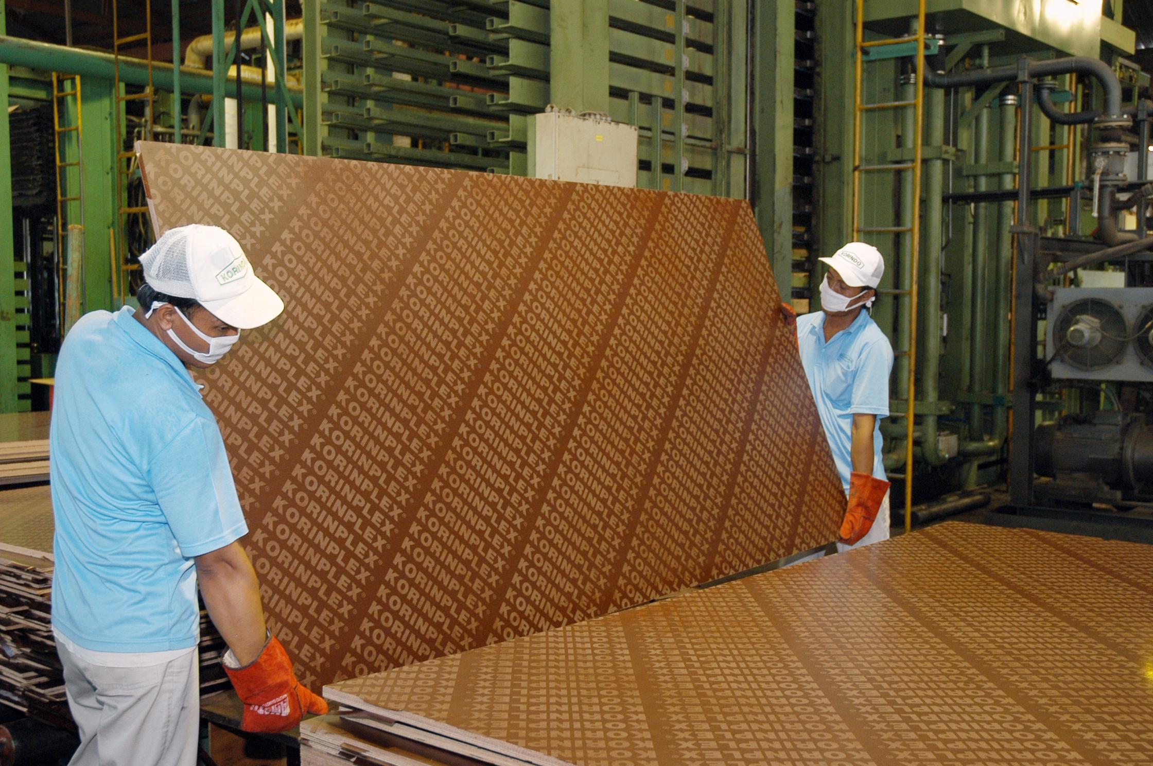 Distributor Triplek/Plywood Korindo | PT. Hanindo Borneo Sari